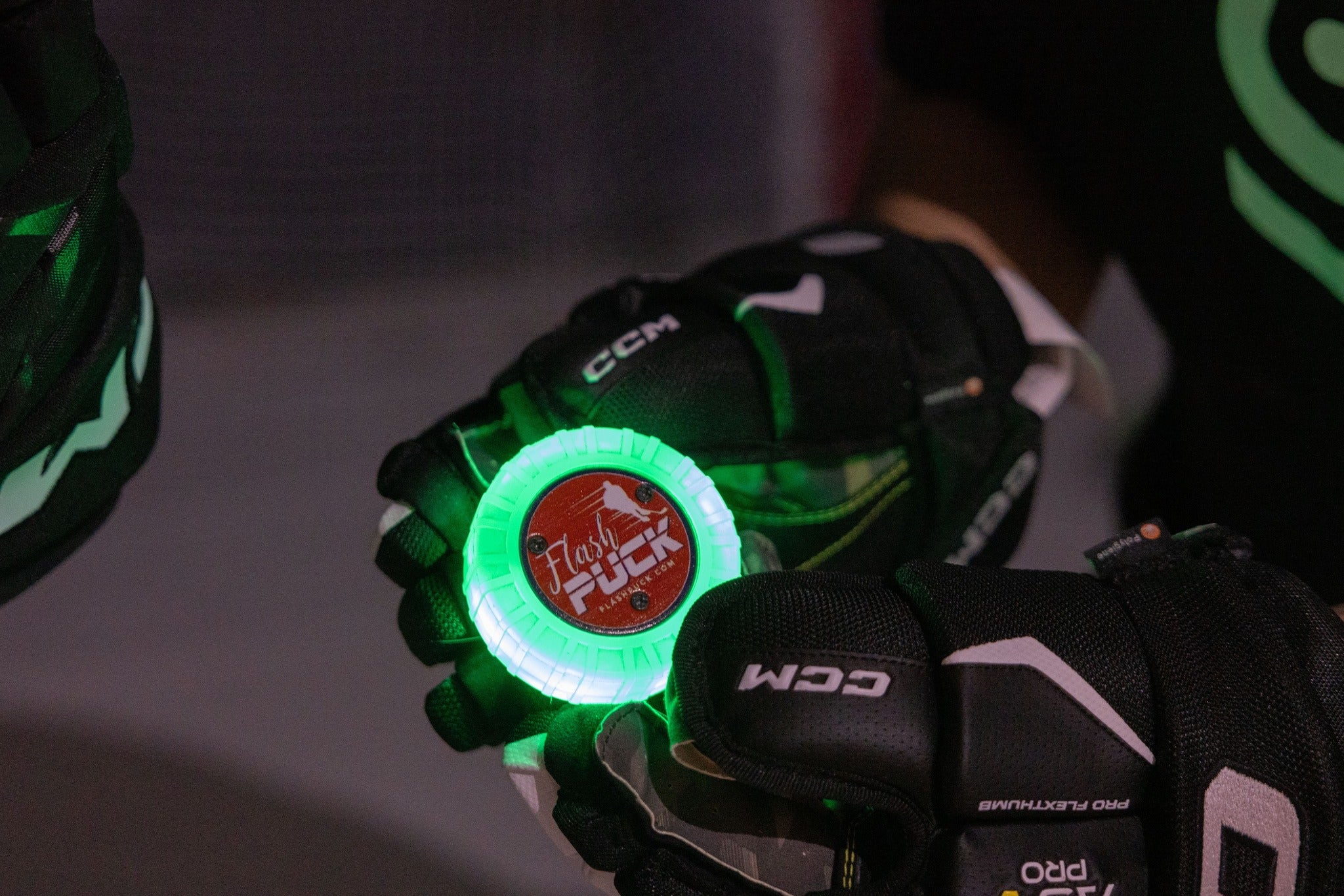 Meet The Flash Puck: Everything You’ve Ever Wanted to Know About The B | 20% OFF SITEWIDE | Sale ...